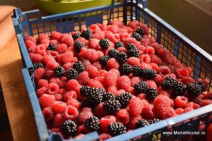 Fructe la congelator: 7 fructe care merita sa ocupe spatiul pentru la ...
